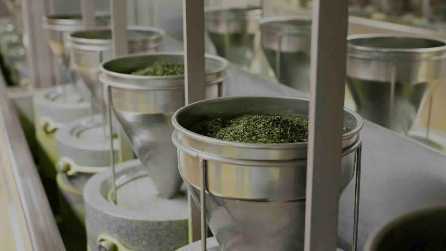 Aiya Matcha – Authentic Japan